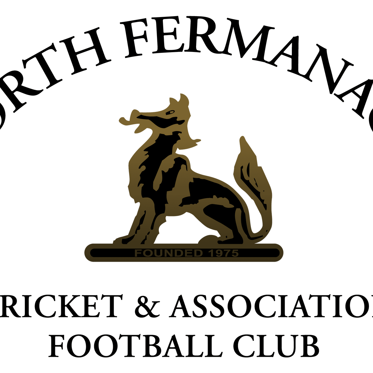 CLUBS - NORTH FERMANAGH CRICKET CLUB – Sports Hub